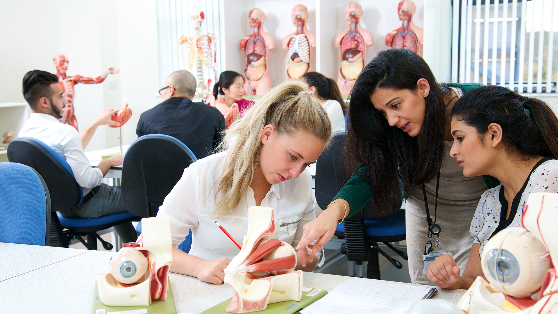 Becoming a Doctor in the UK | Step by Step Guide