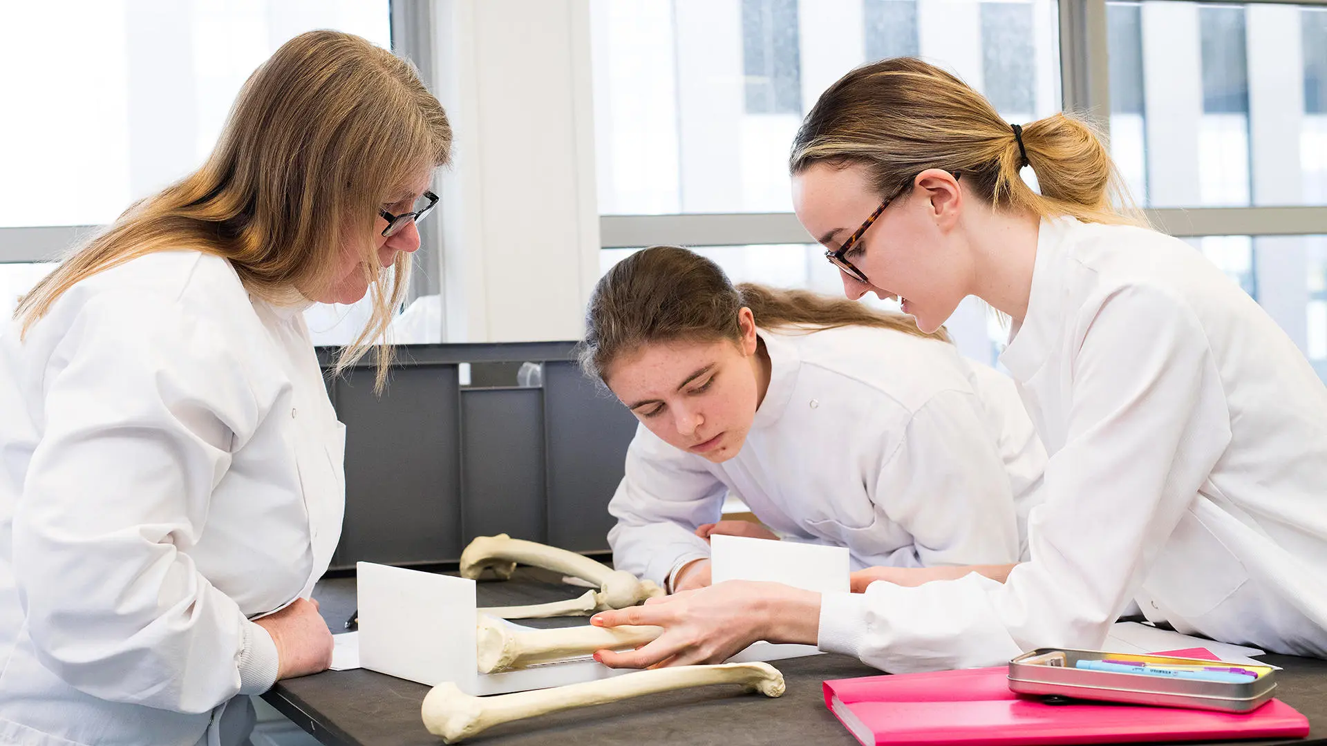 Archaeology and Anthropology Teaching Laboratory