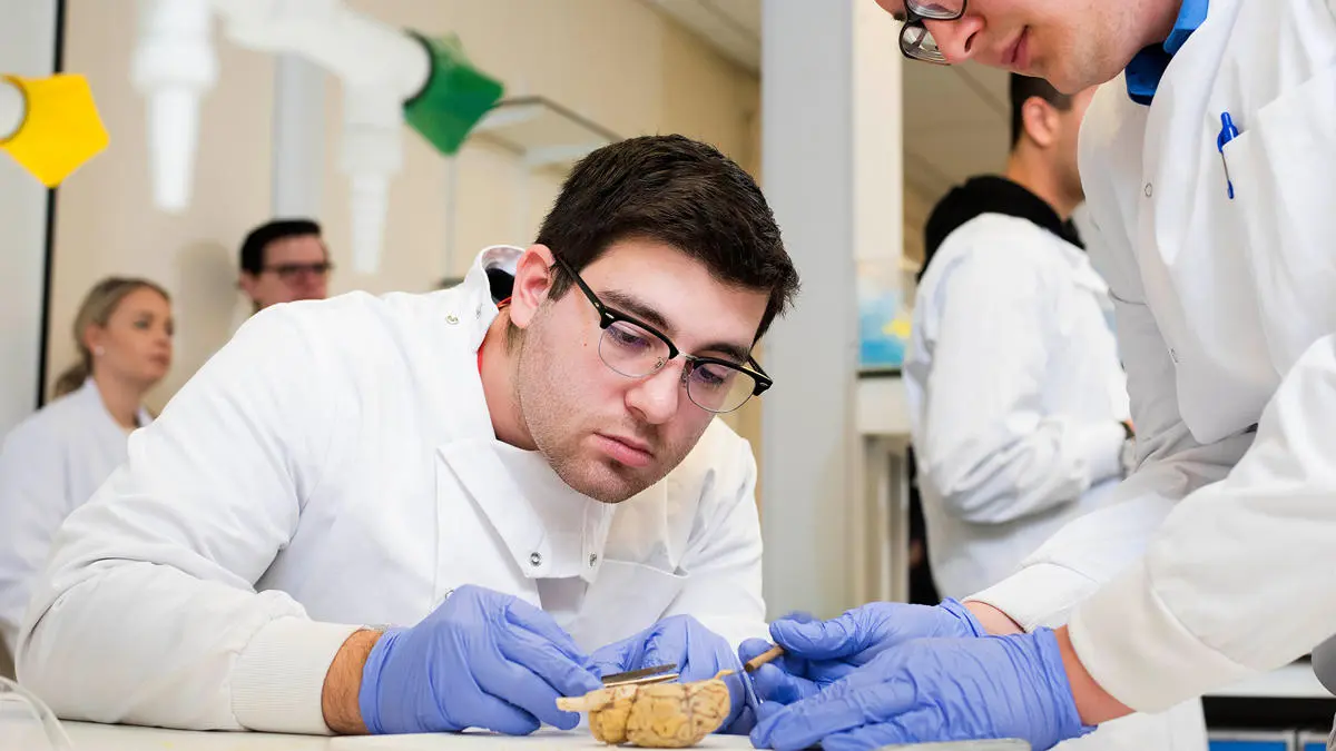 Neuroscience (with Foundation Year), BSc (Hons)