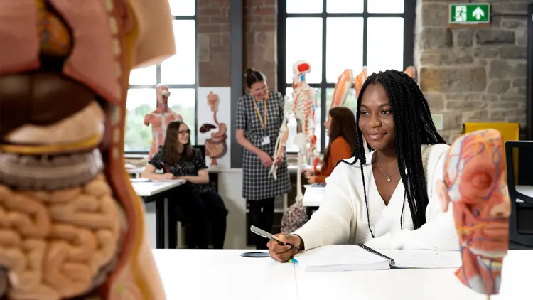 BSc Medical Sciences Degree Course UK