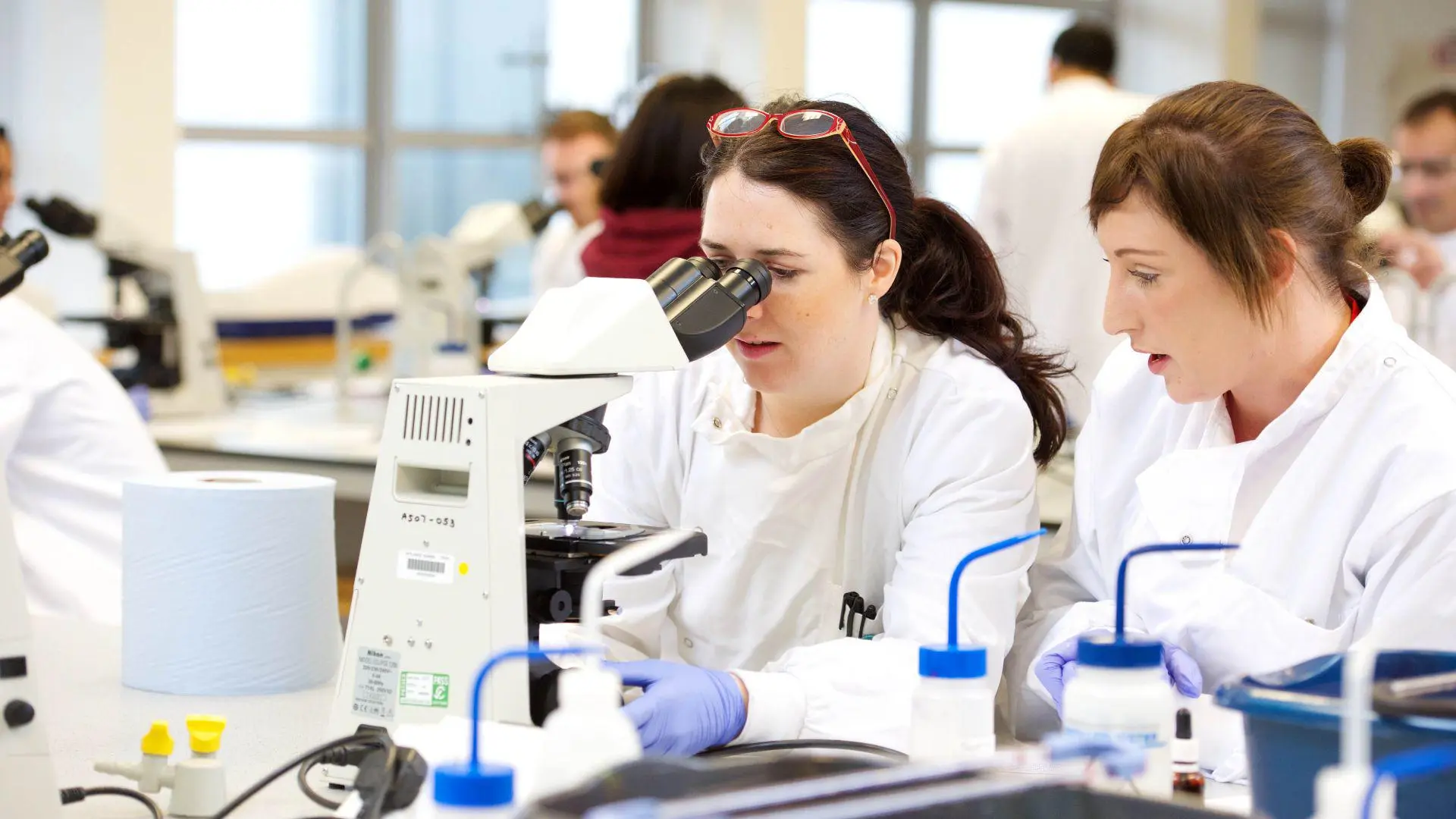 Bioveterinary Sciences (with Foundation Year), BSc (Hons)