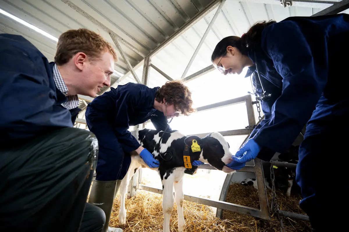 Teenagers get a taste of veterinary life at University’s first Vet ...